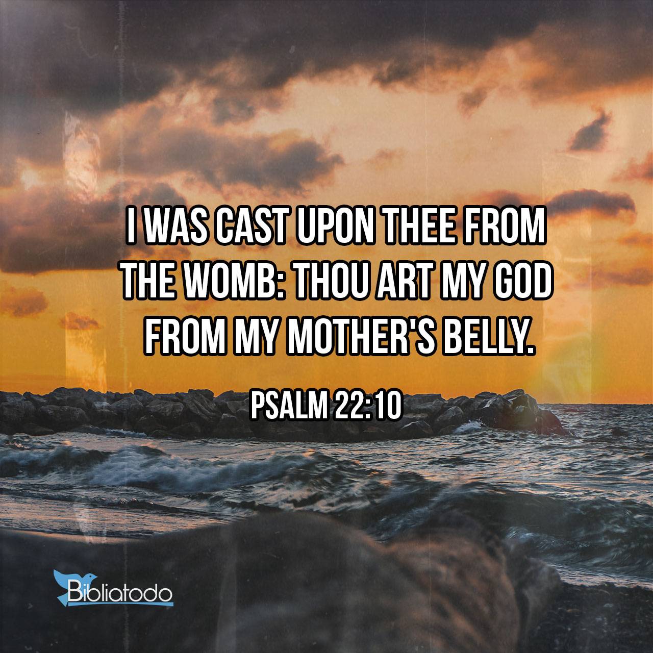 Psalm 22:10 Bible Cross References | Connecting Verses Across Scripture ...