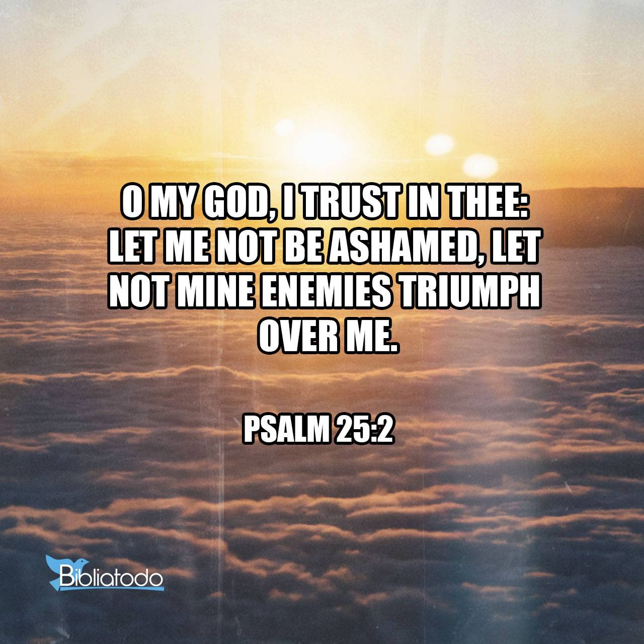 Psalm 25:2 AMP - O my God, in You I [have unwavering] trust [and I rely on You with steadfast ...