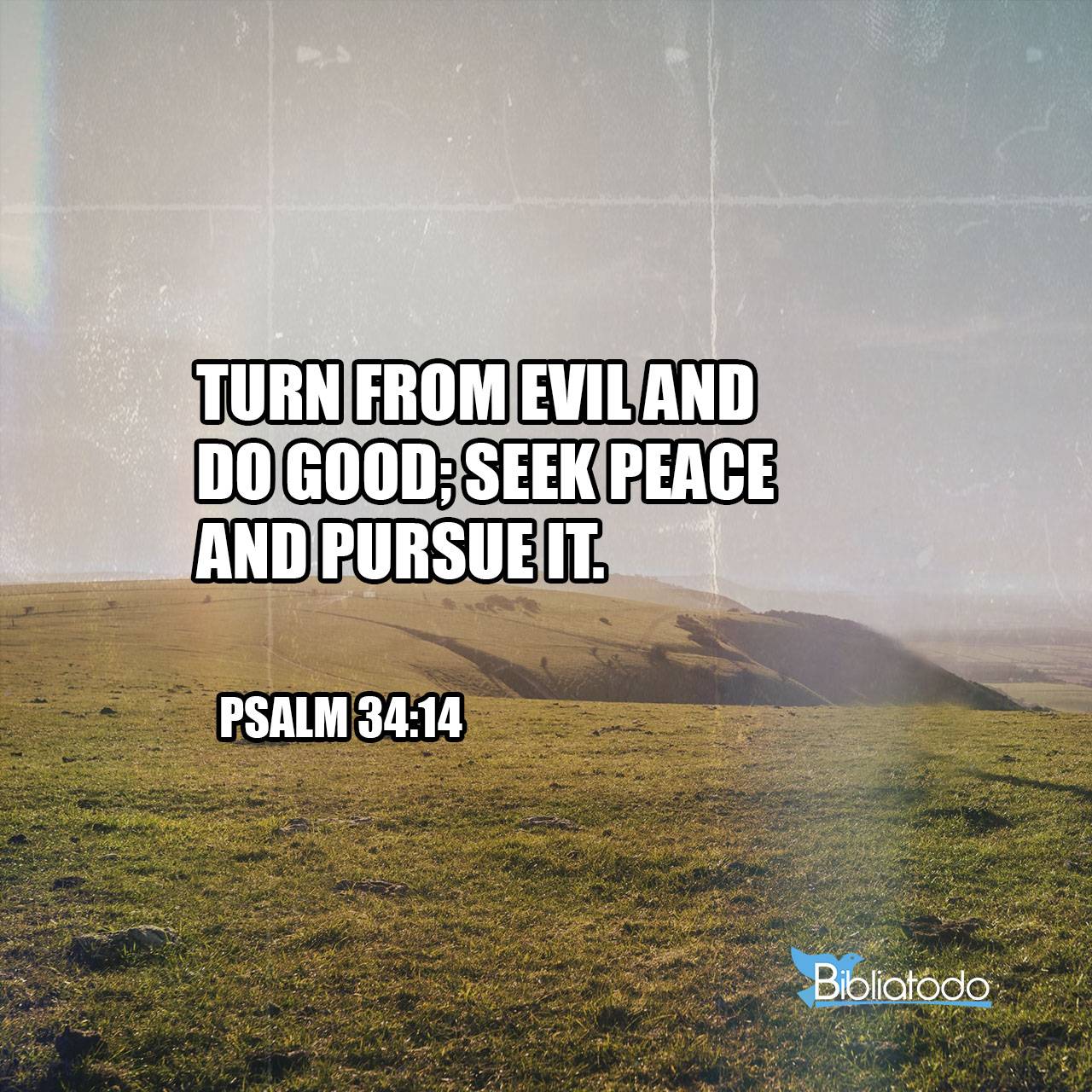 Psalm 34:14 Bible Cross References | Connecting Verses Across Scripture ...