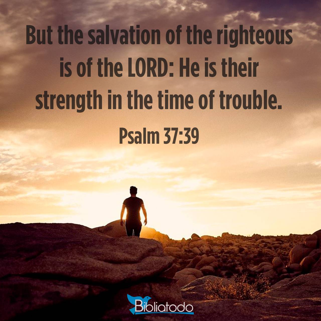 Psalm 37:39 Bible Cross References | Connecting Verses Across Scripture ...