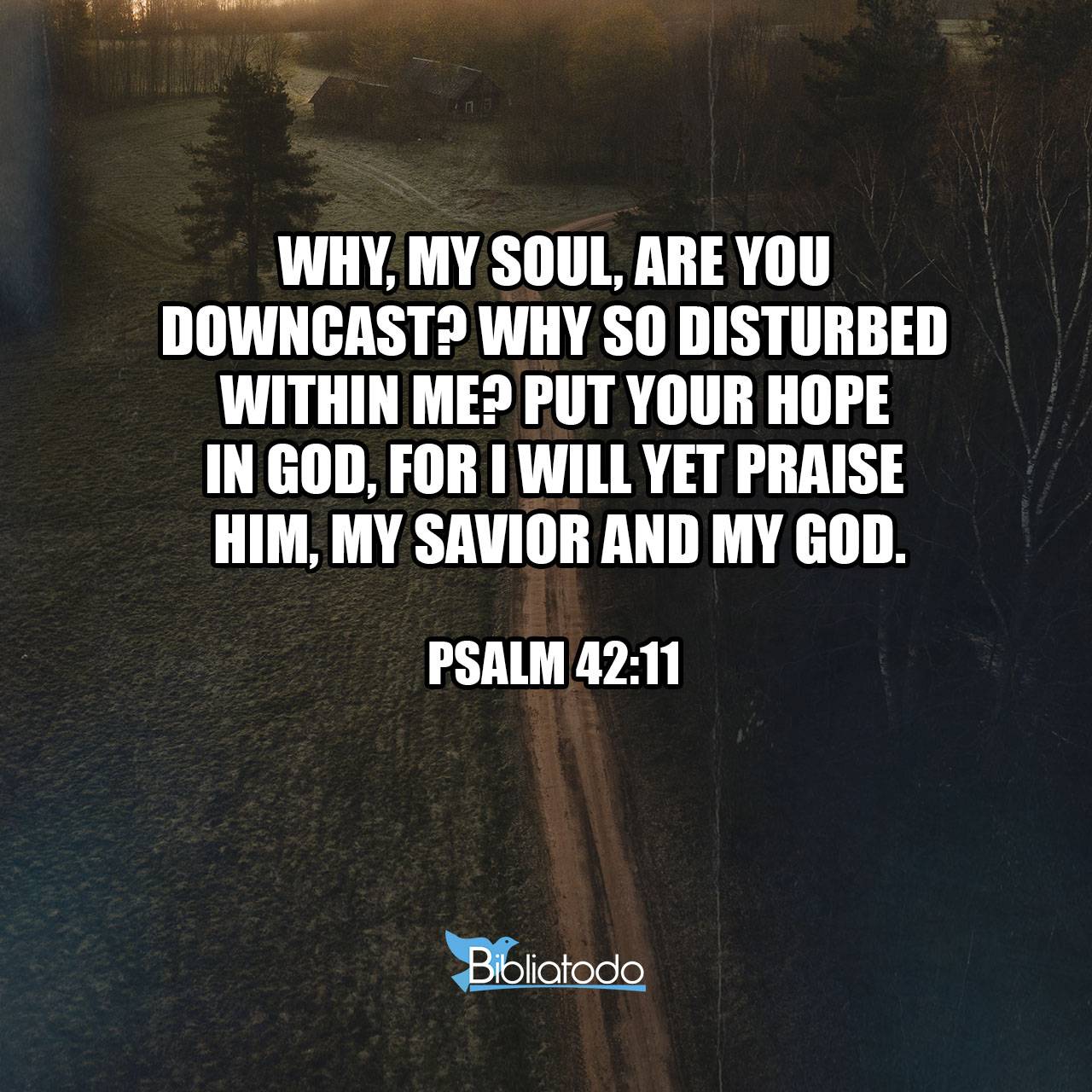 Psalm 42:11 Bible Cross References | Connecting Verses Across Scripture ...