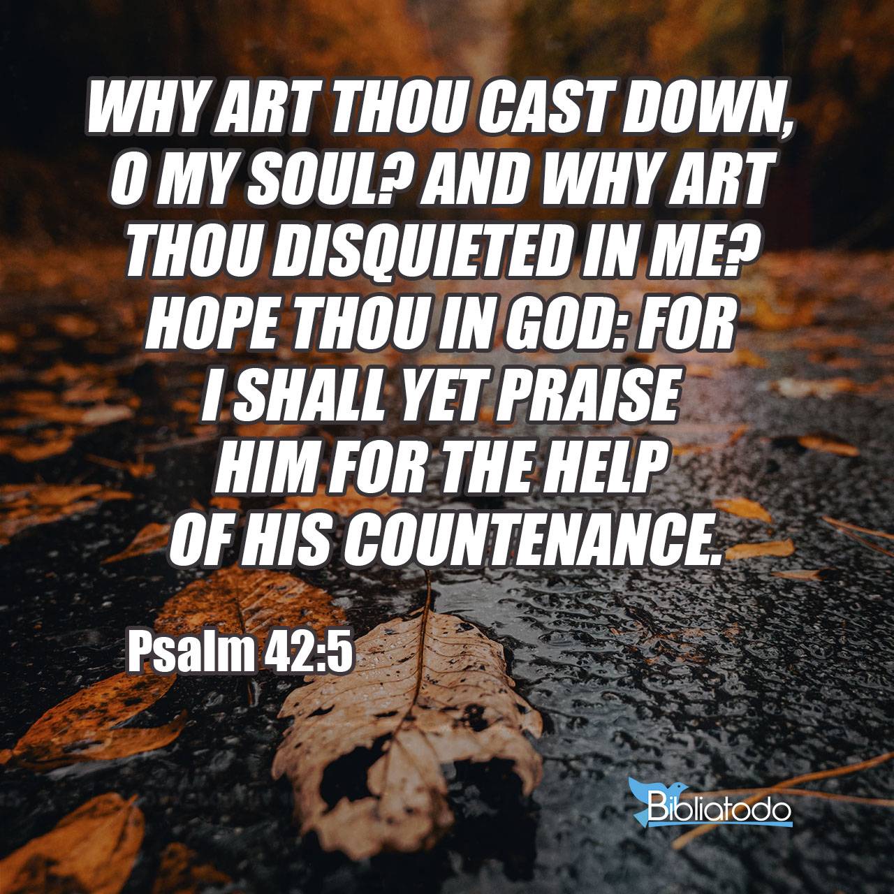 Psalm 42:5 Bible Cross References | Connecting Verses Across Scripture ...