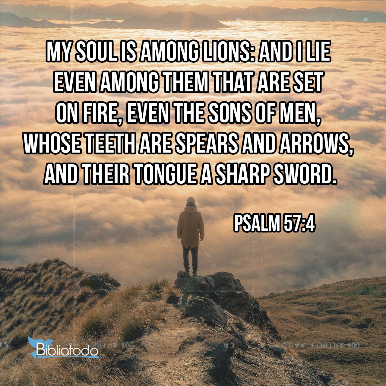 Psalm 57:4 Bible Cross References | Connecting Verses Across Scripture ...