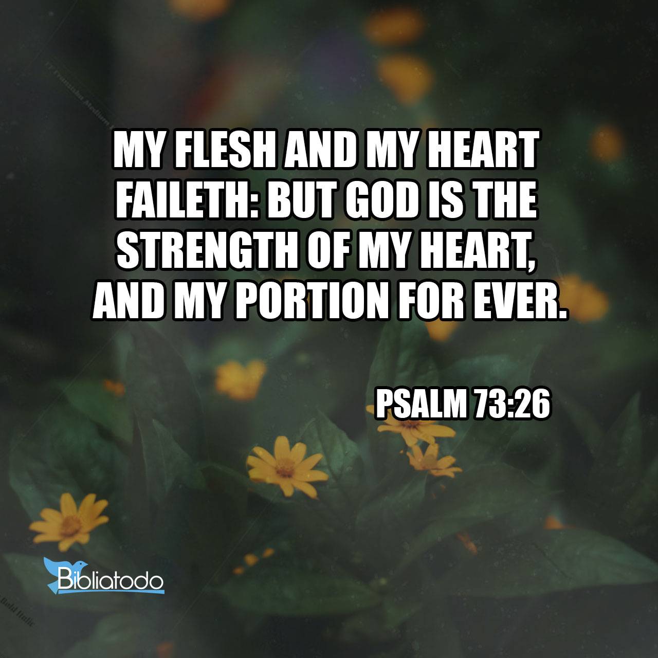 Psalm 73:26 Bible Cross References | Connecting Verses Across Scripture ...