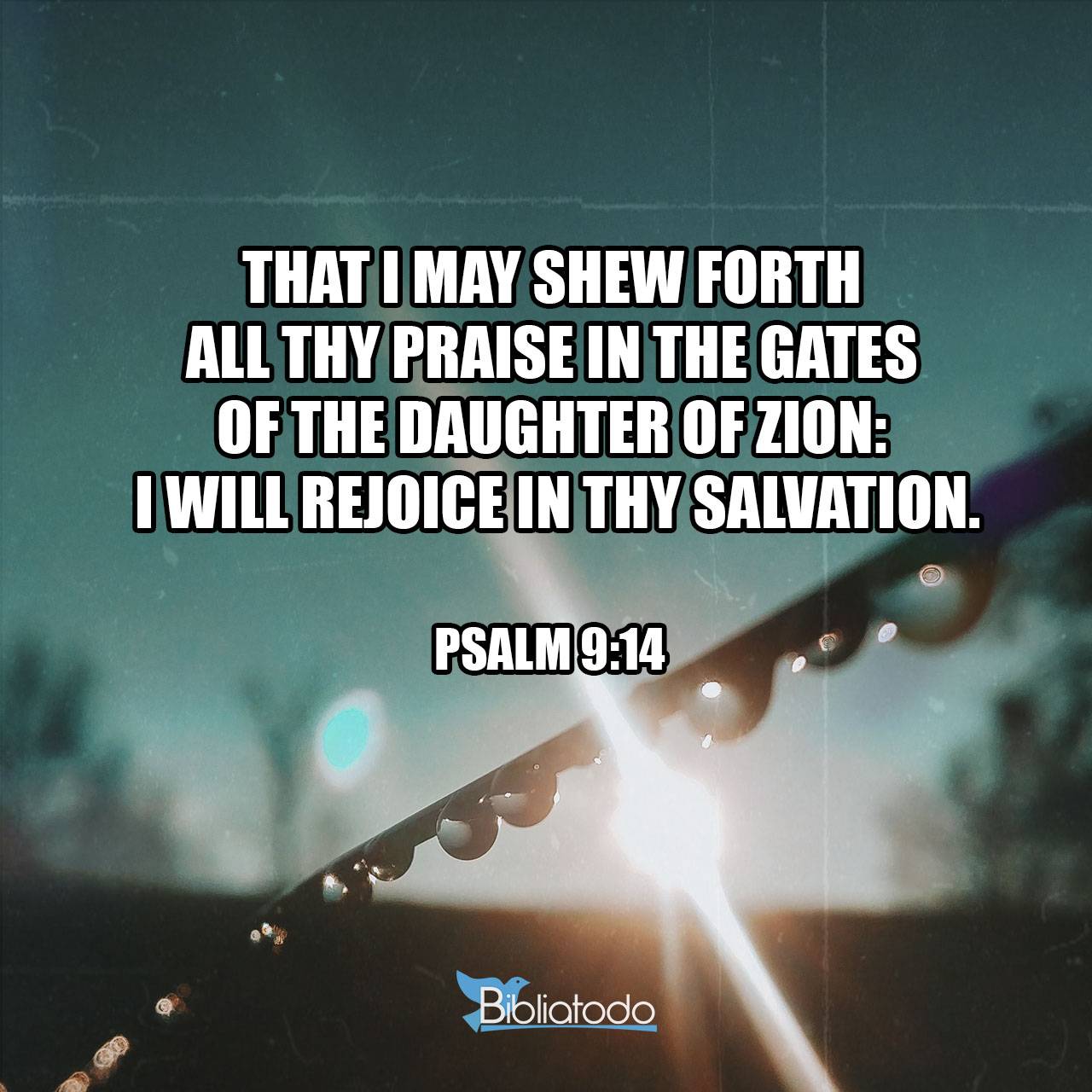 Psalm 9:14 Bible Cross References | Connecting Verses Across Scripture ...