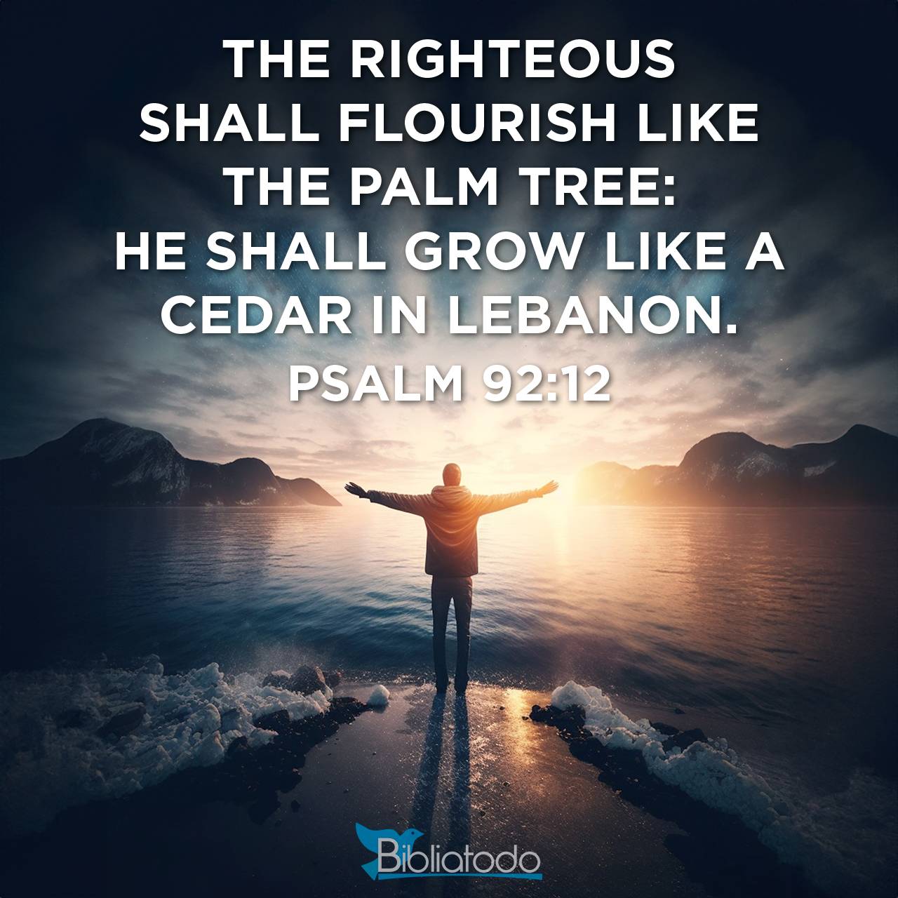 Psalm 92:12 CEB - The righteous will spring up like a palm tree. They ...