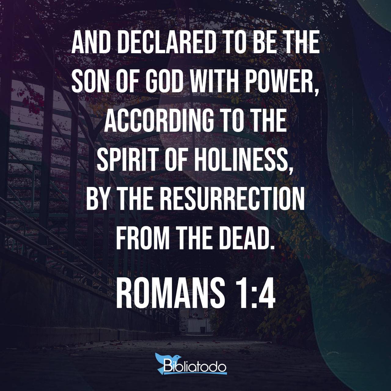 Romans 1:4 Bible Cross References | Connecting Verses Across Scripture ...