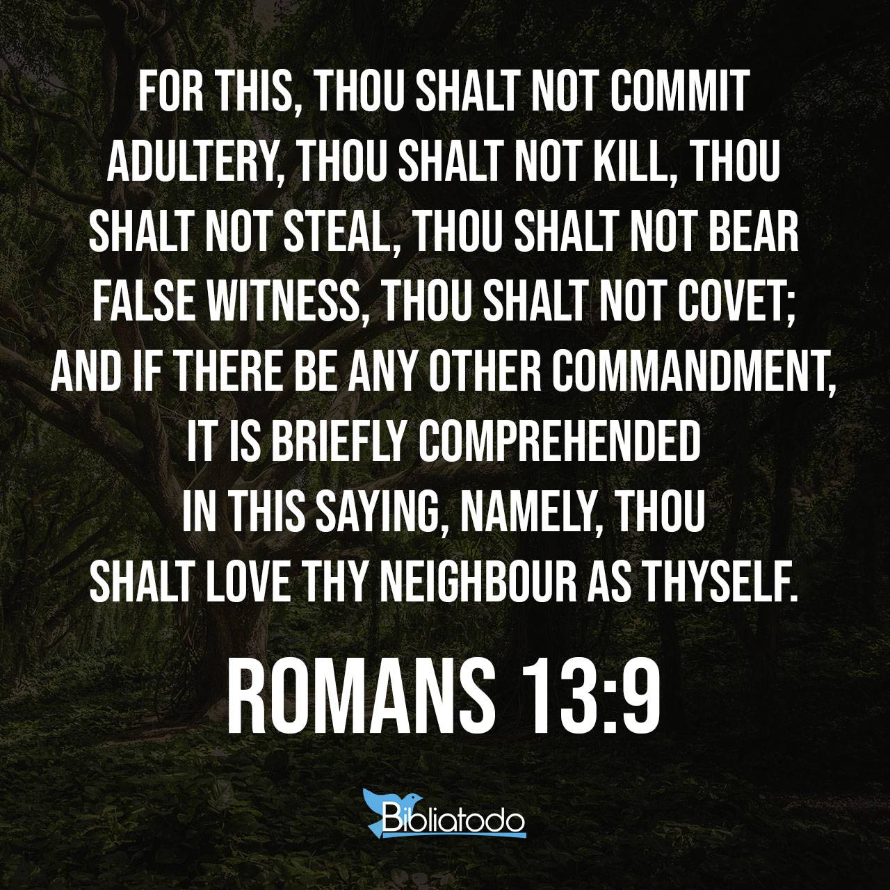 Romans 13:9 Bible Cross References | Connecting Verses Across Scripture ...