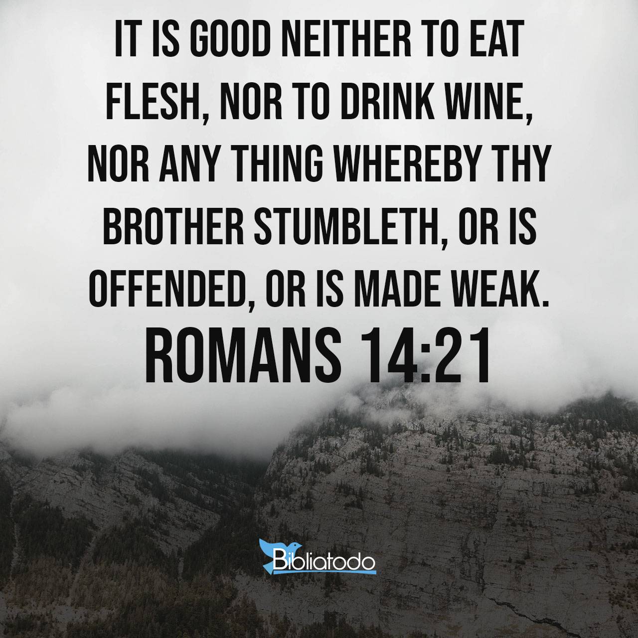 Romans 14:21 Bible Cross References | Connecting Verses Across ...