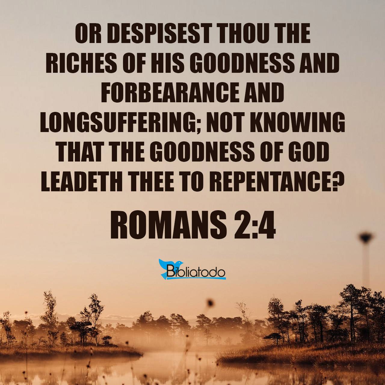 Romans 2:4 Bible Cross References | Connecting Verses Across Scripture ...