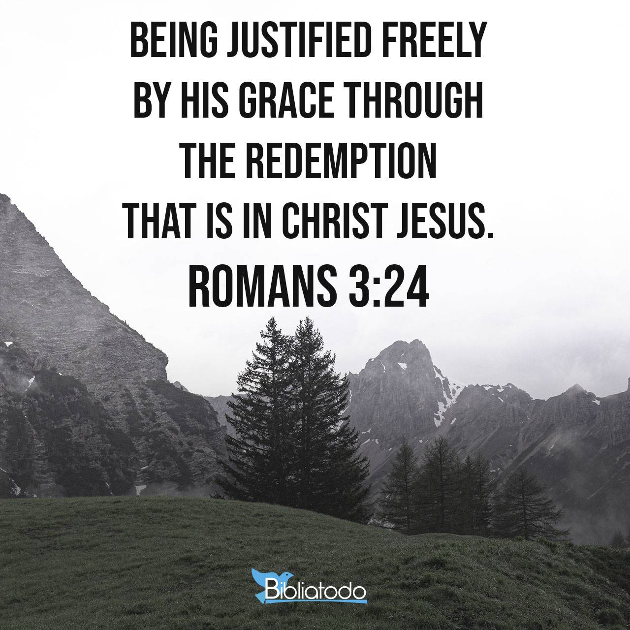 Romans 3:24 Bible Cross References | Connecting Verses Across Scripture ...