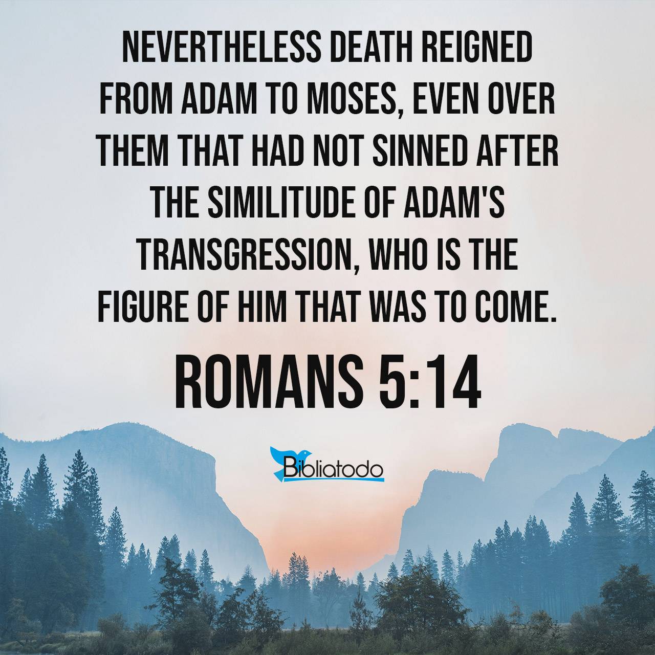 Romans 5:14 Bible Cross References | Connecting Verses Across Scripture ...