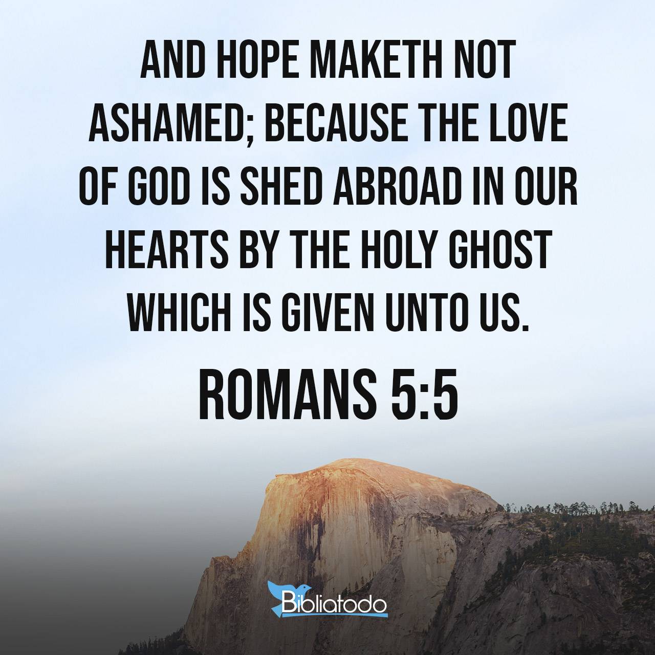 Romans 5:5 Bible Cross References | Connecting Verses Across Scripture ...