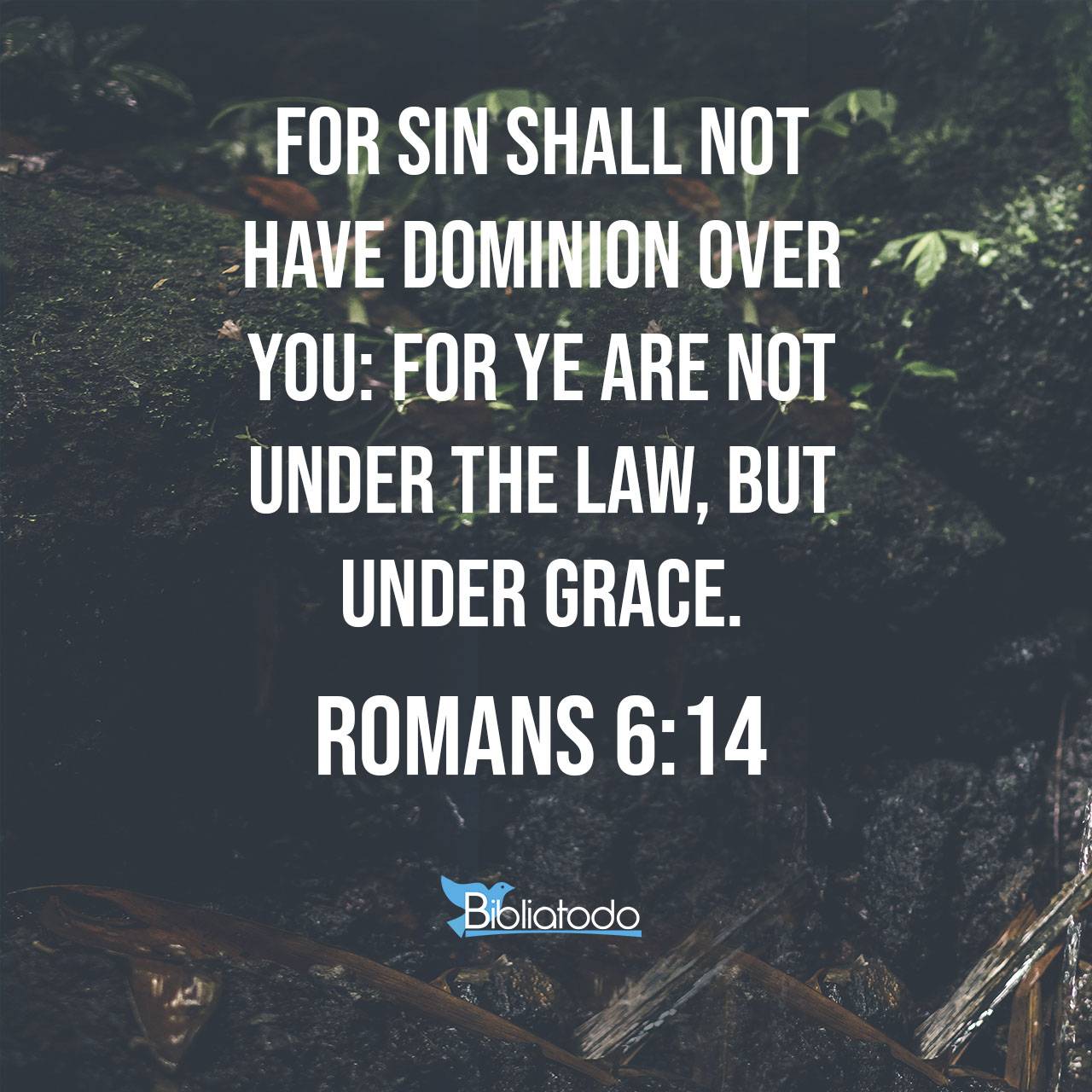 Romans 6:14 Bible Cross References | Connecting Verses Across Scripture ...