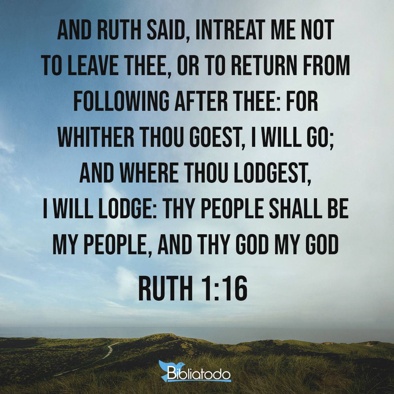 Ruth 1:16 Bible Cross References | Connecting Verses Across Scripture - FBV