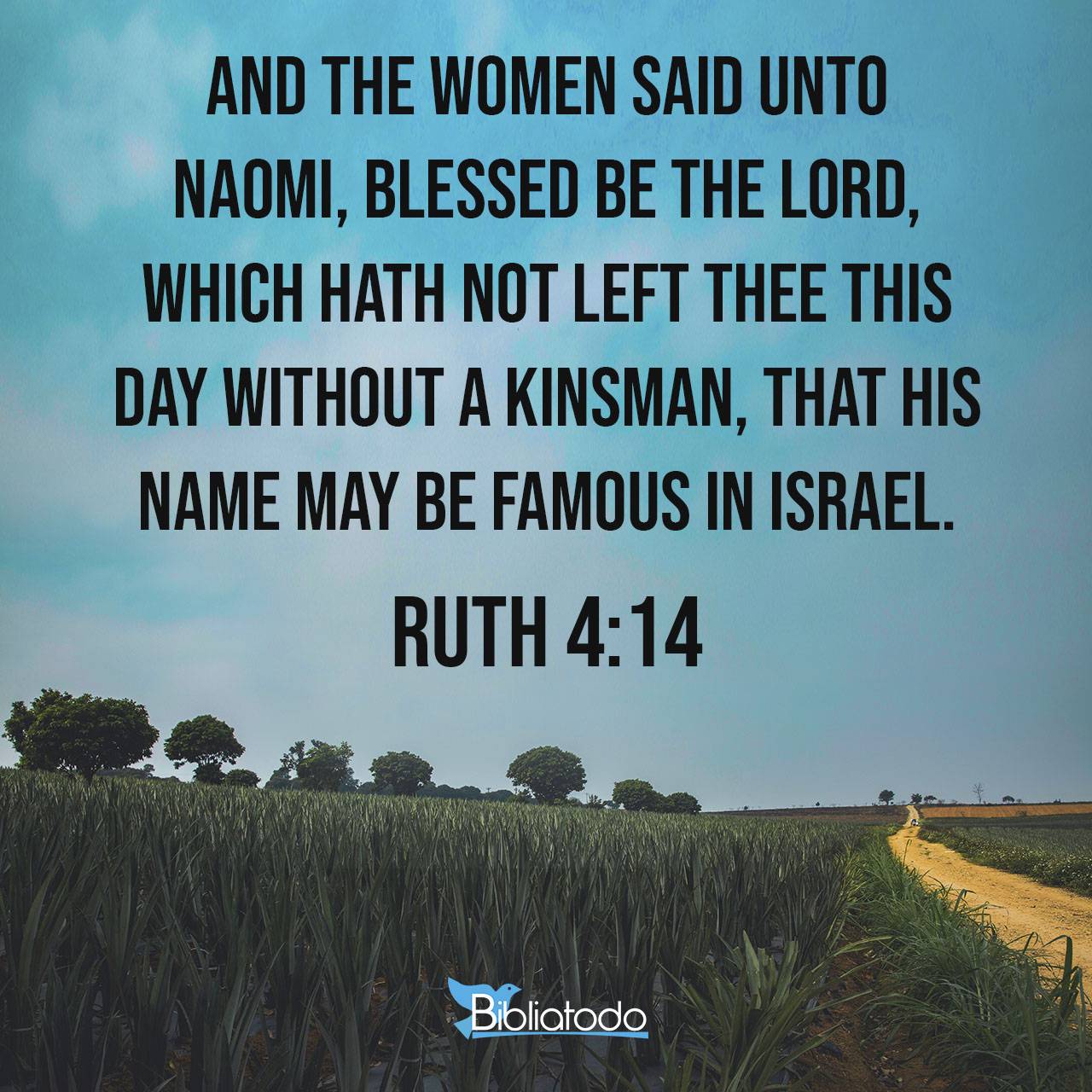 Ruth 4:14 Bible Cross References | Connecting Verses Across Scripture - LSB