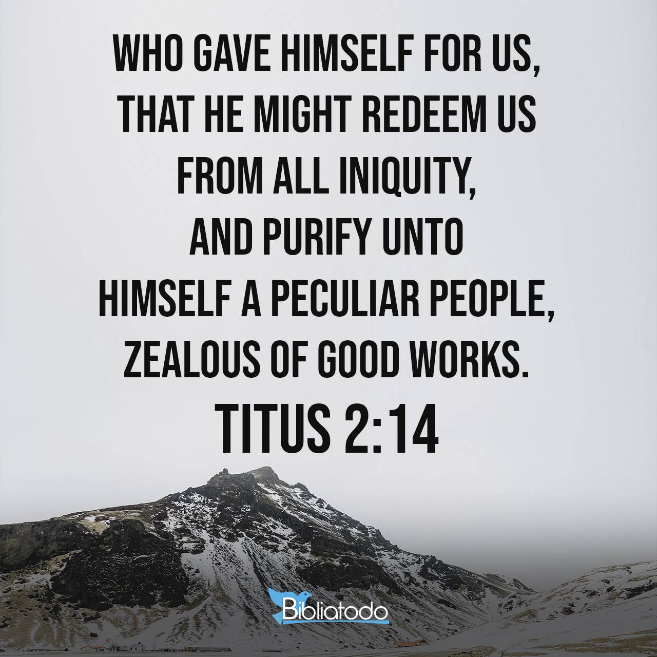 Titus 2:14 Bible Cross References | Connecting Verses Across Scripture ...