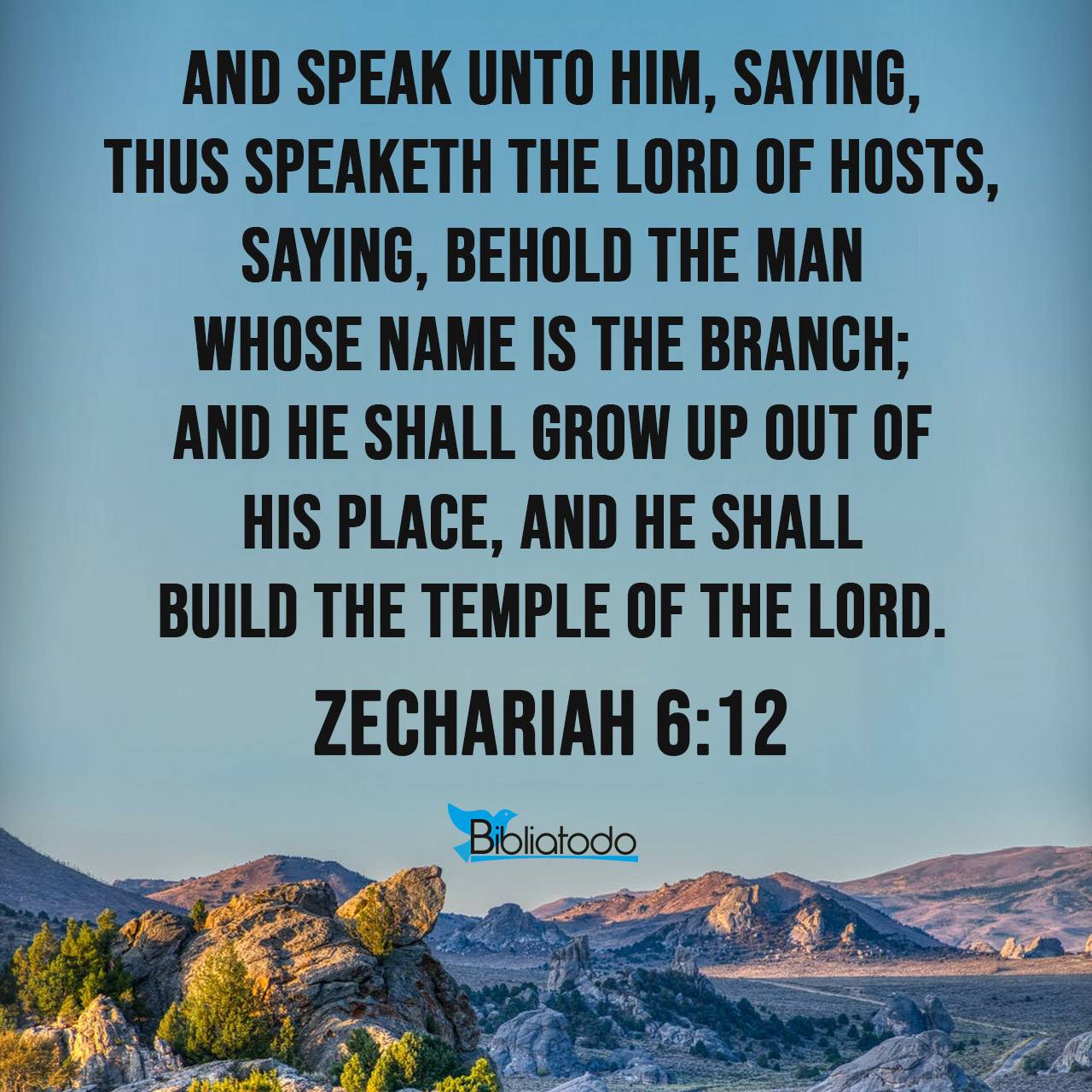 Zechariah 6:12 Bible Cross References | Connecting Verses Across Scripture - NIV