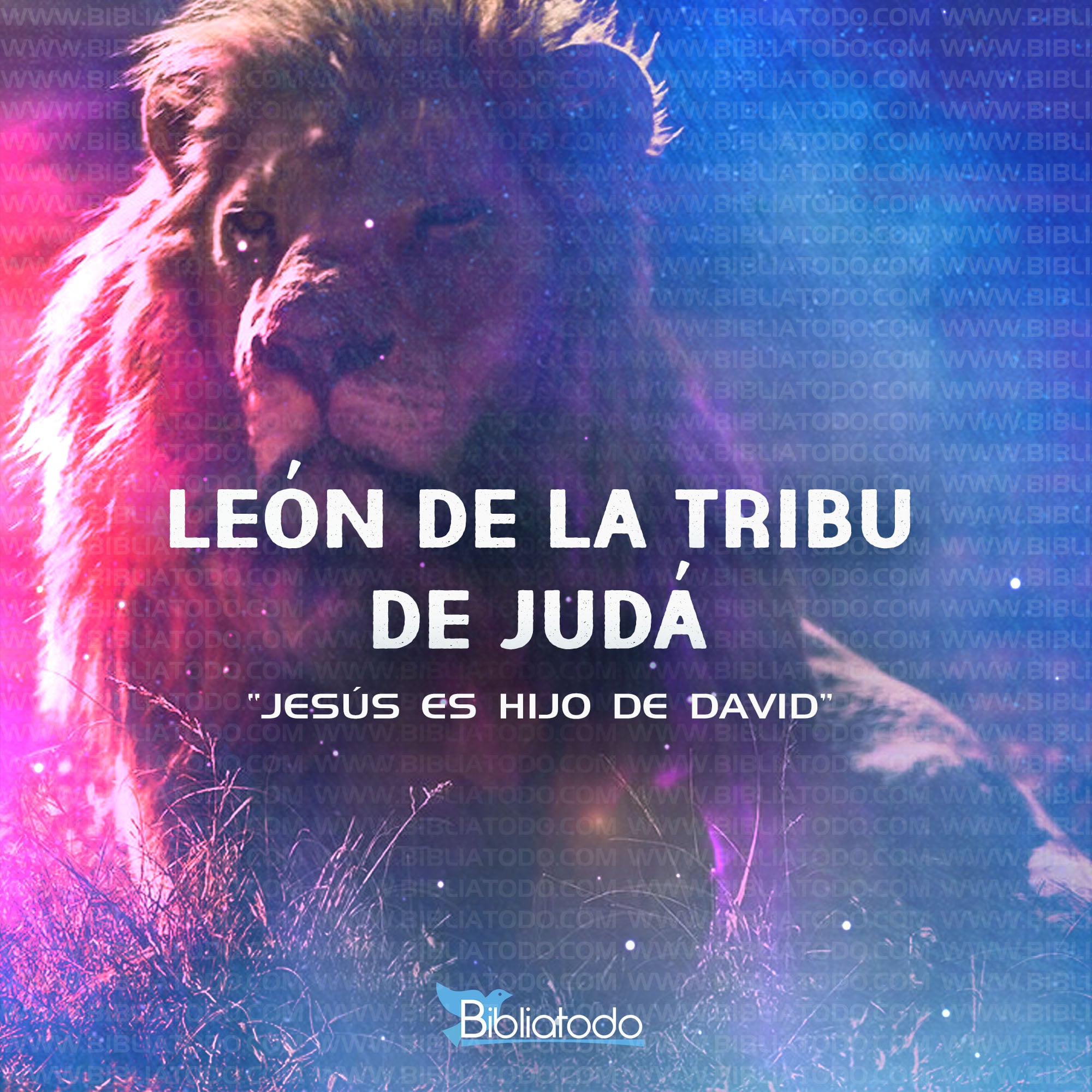 Significado de LEÓN DE LA TRIBU DE JUDÁ - Nombres de Jesús