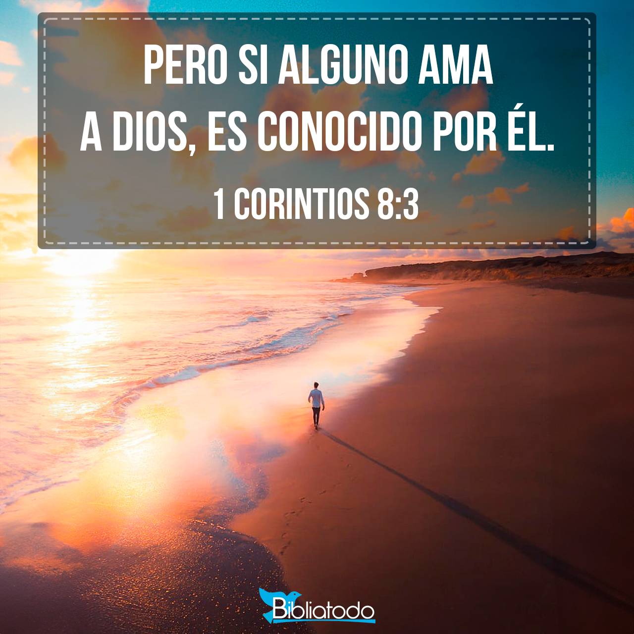 1 Corintios 8:3 Referencias Cruzadas de la Biblia | Conexiones Versículo a Versículo - TNM