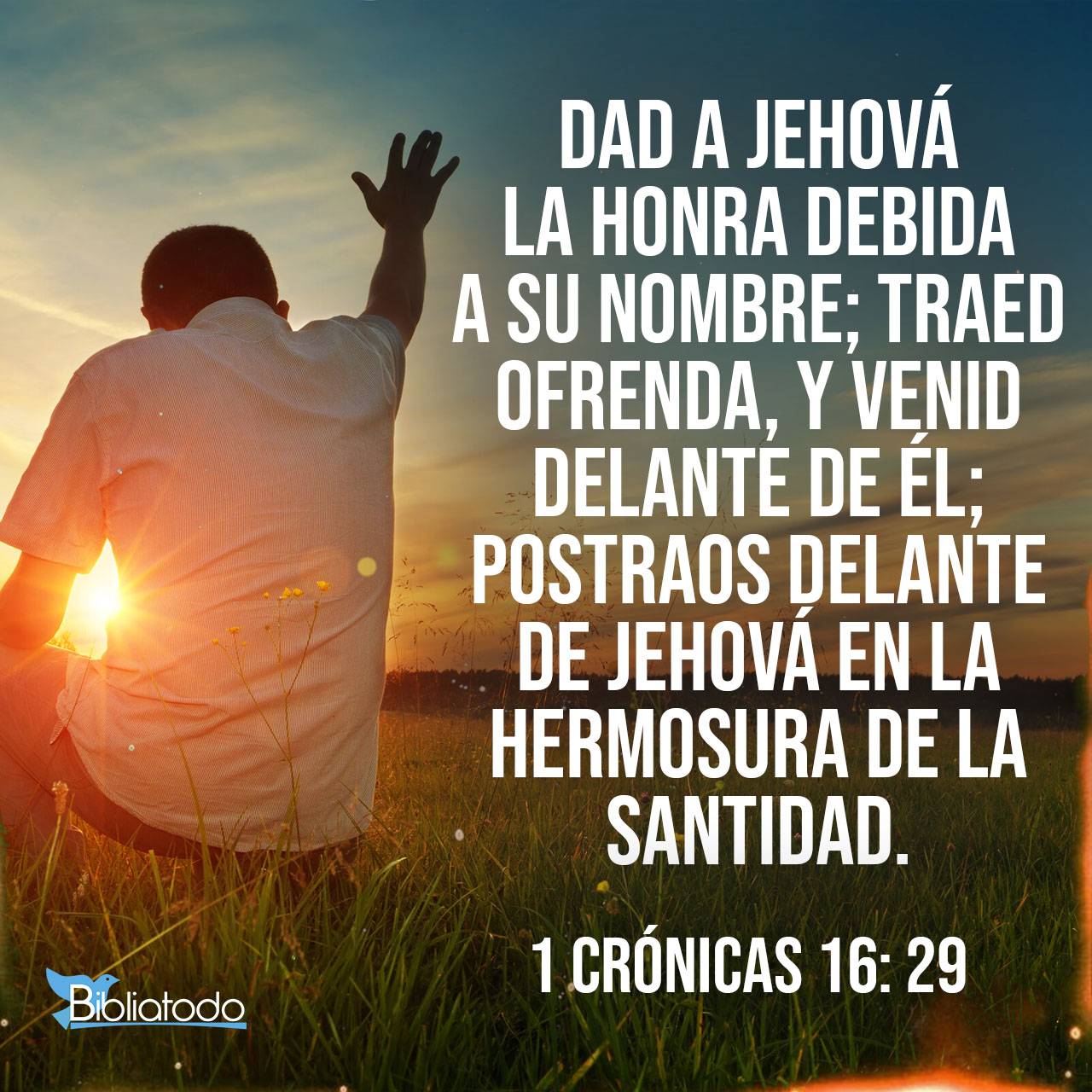 1 Crónicas 16:29 RV1960 - Dad a Jehová la honra debida a su nombre ...