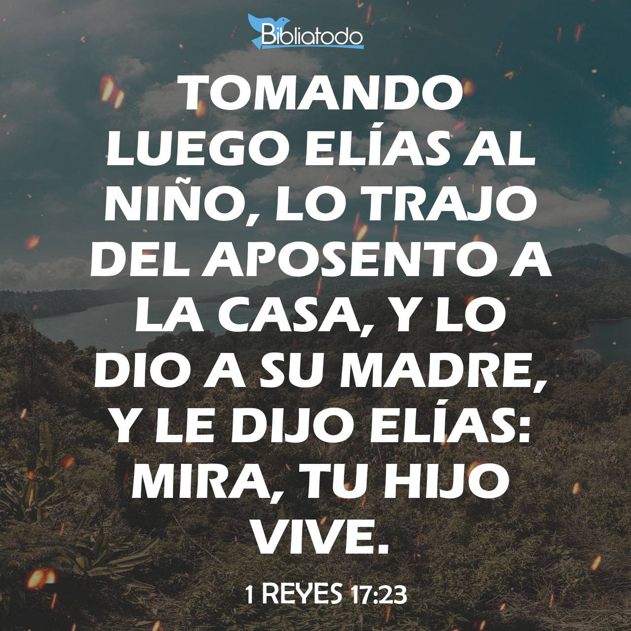 1 Reyes 17:23 RV1960 - Tomando luego Elías al niño, lo trajo del ...