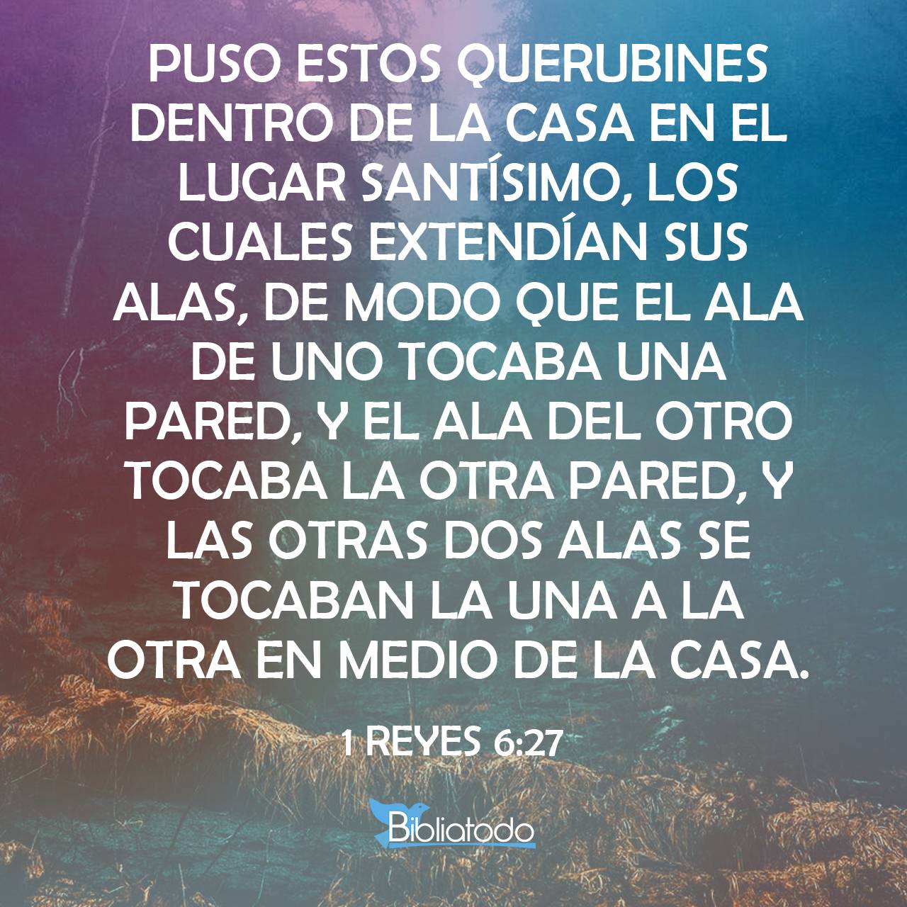 1 Reyes 6:27 TA - Estos querubines los colocó en medio del templo ...