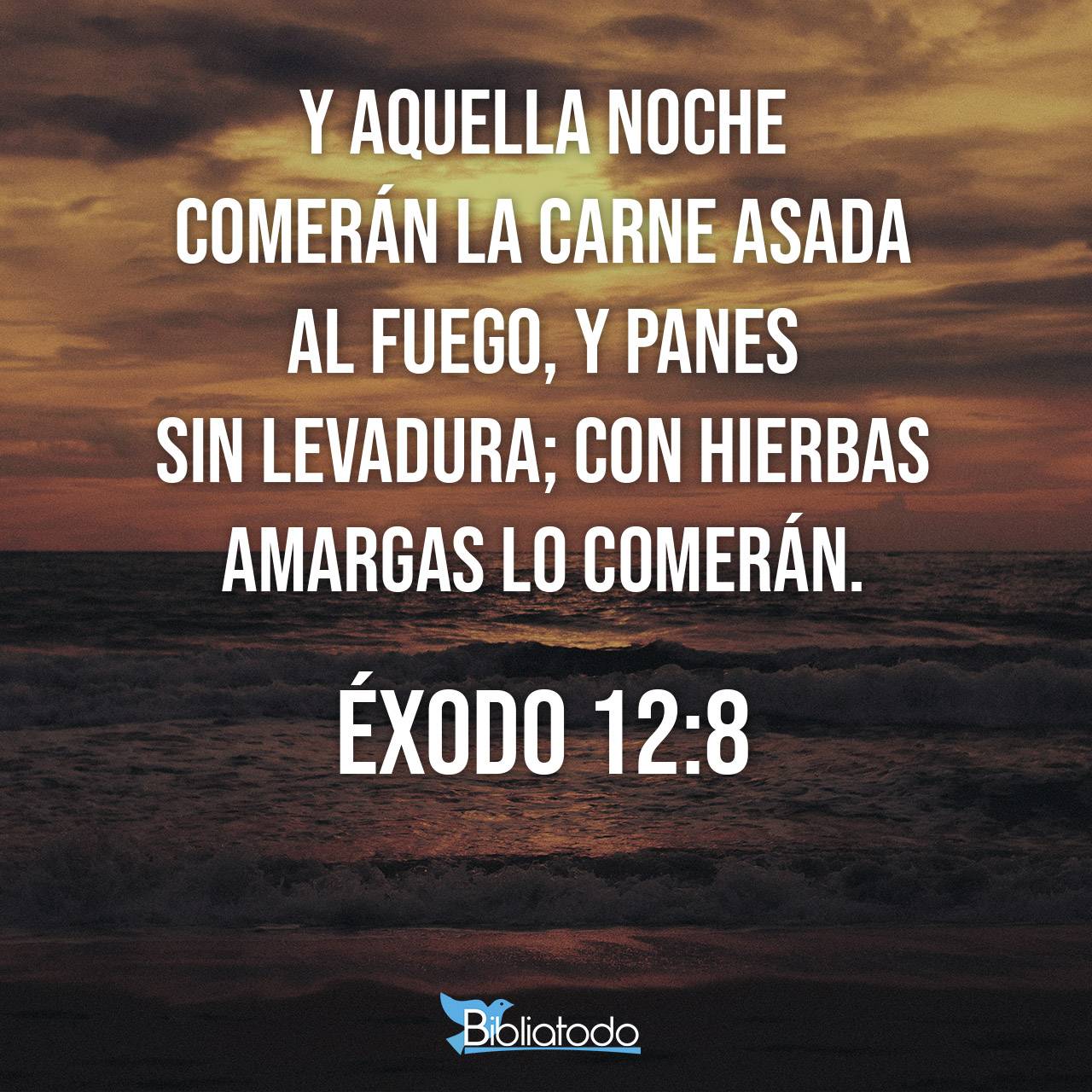 Éxodo 12:8 RV1909 - Y aquella noche comerán la carne asada al fuego, y ...