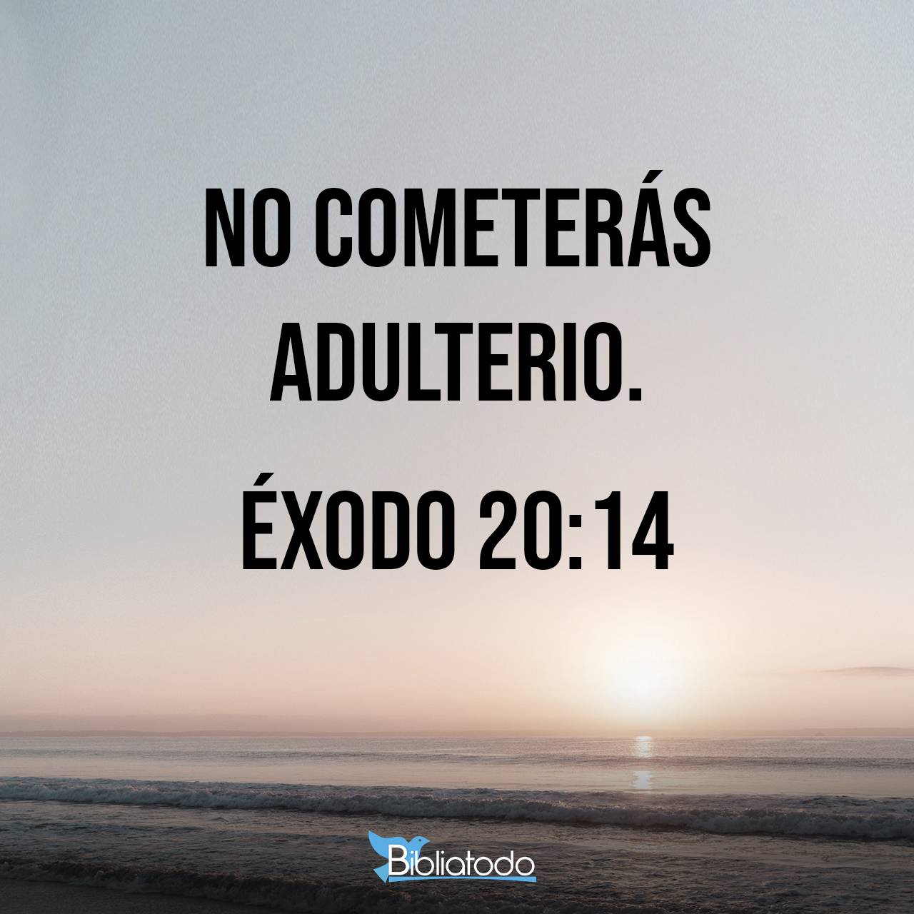 Éxodo 20:14 RV1960 - No cometerás adulterio.