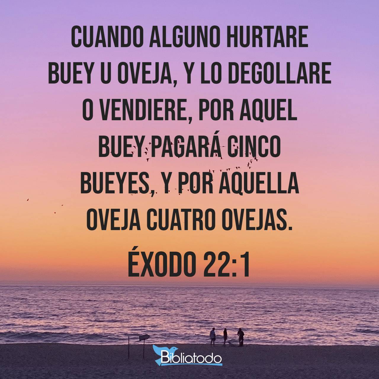 Éxodo 22:1 TA - Si alguno robare un buey u oveja y los matare o ...