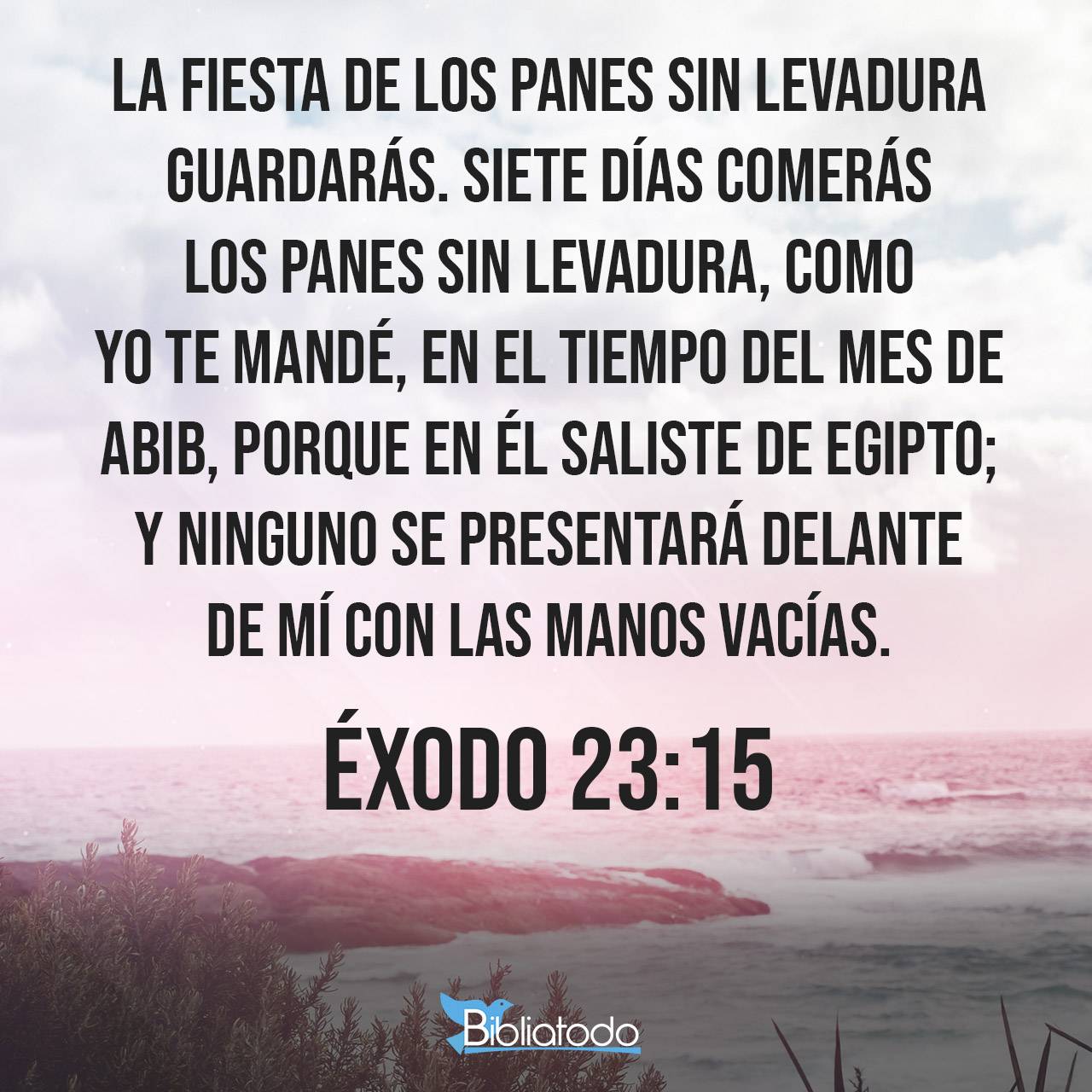 Éxodo 23:15 RV1960 - La fiesta de los panes sin levadura guardarás ...