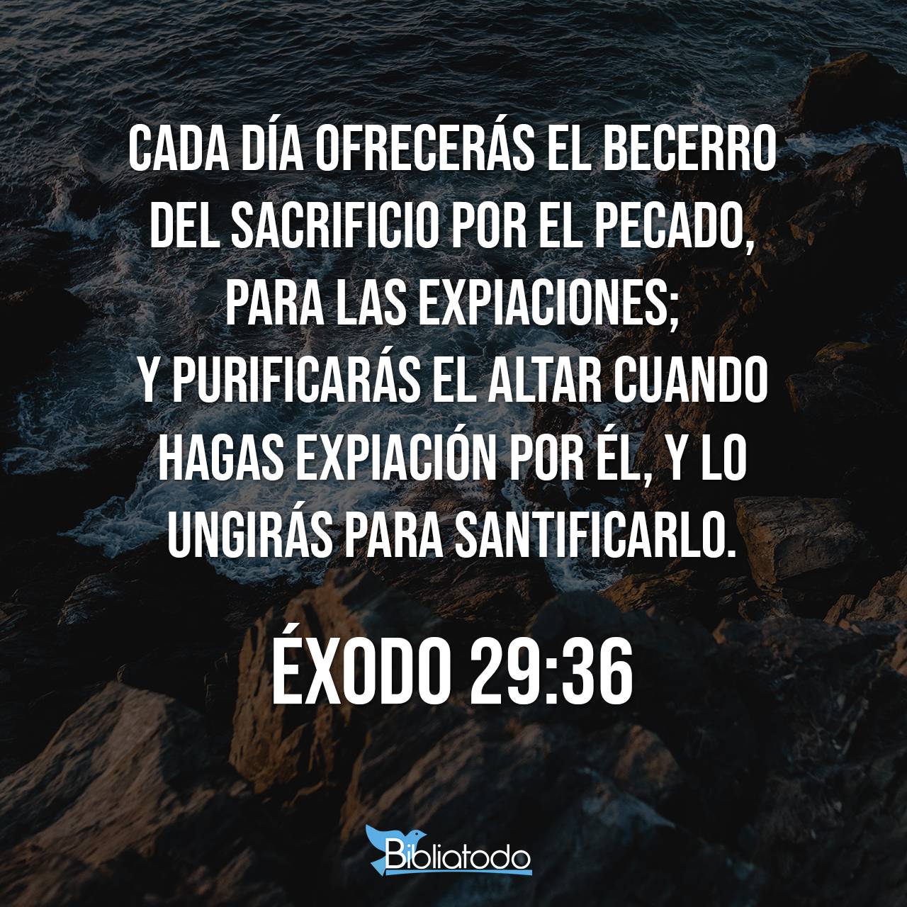 Éxodo 29:36 RV1960 - Cada día ofrecerás el becerro del sacrificio por ...