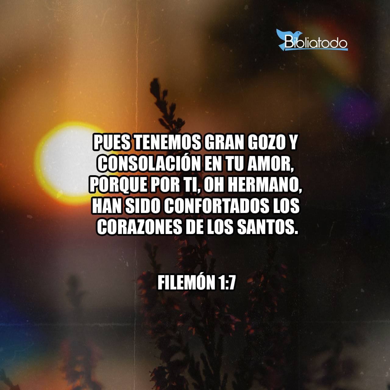 Filemón 1:7 RV1960 - Pues tenemos gran gozo y consolación en tu amor ...