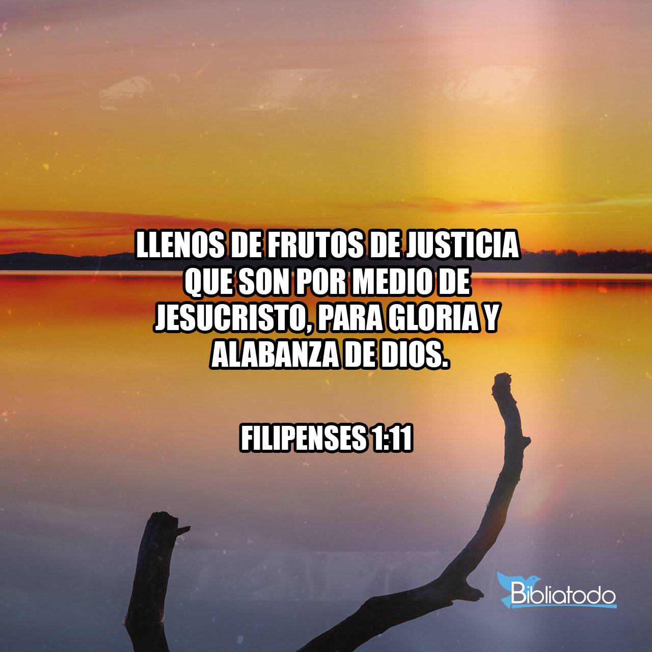 Filipenses 1:11 BLS - Porque con la ayuda de Jesucristo ustedes harán ...