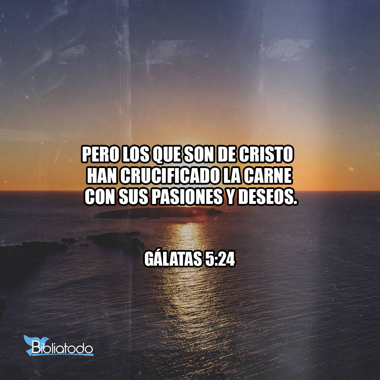 Gálatas 5:24 RV1960 - Pero los que son de Cristo han crucificado la ...