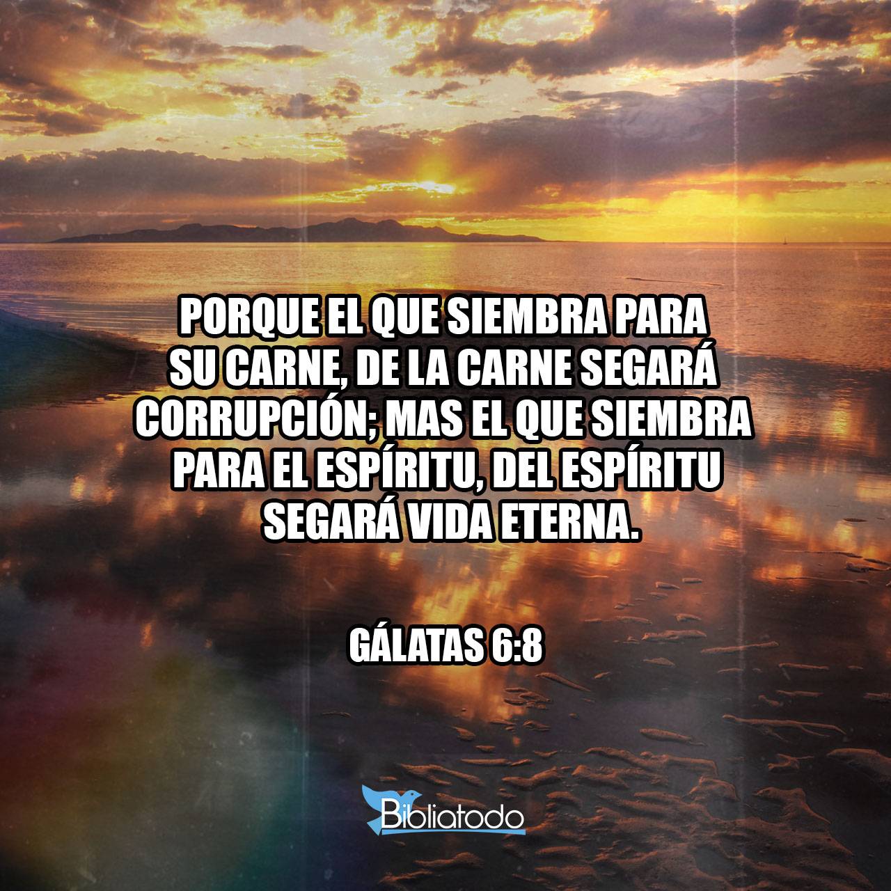 Gálatas 6:8 Referencias Cruzadas de la Biblia | Conexiones Versículo a Versículo - NVIS