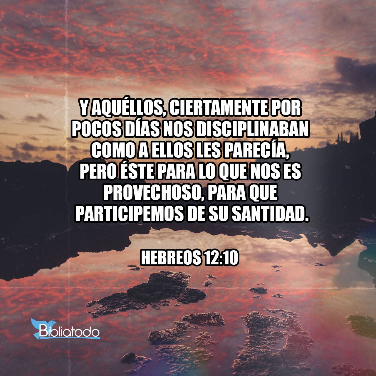 Hebreos 12:10 RV1960 - Y aquellos, ciertamente por pocos días nos ...