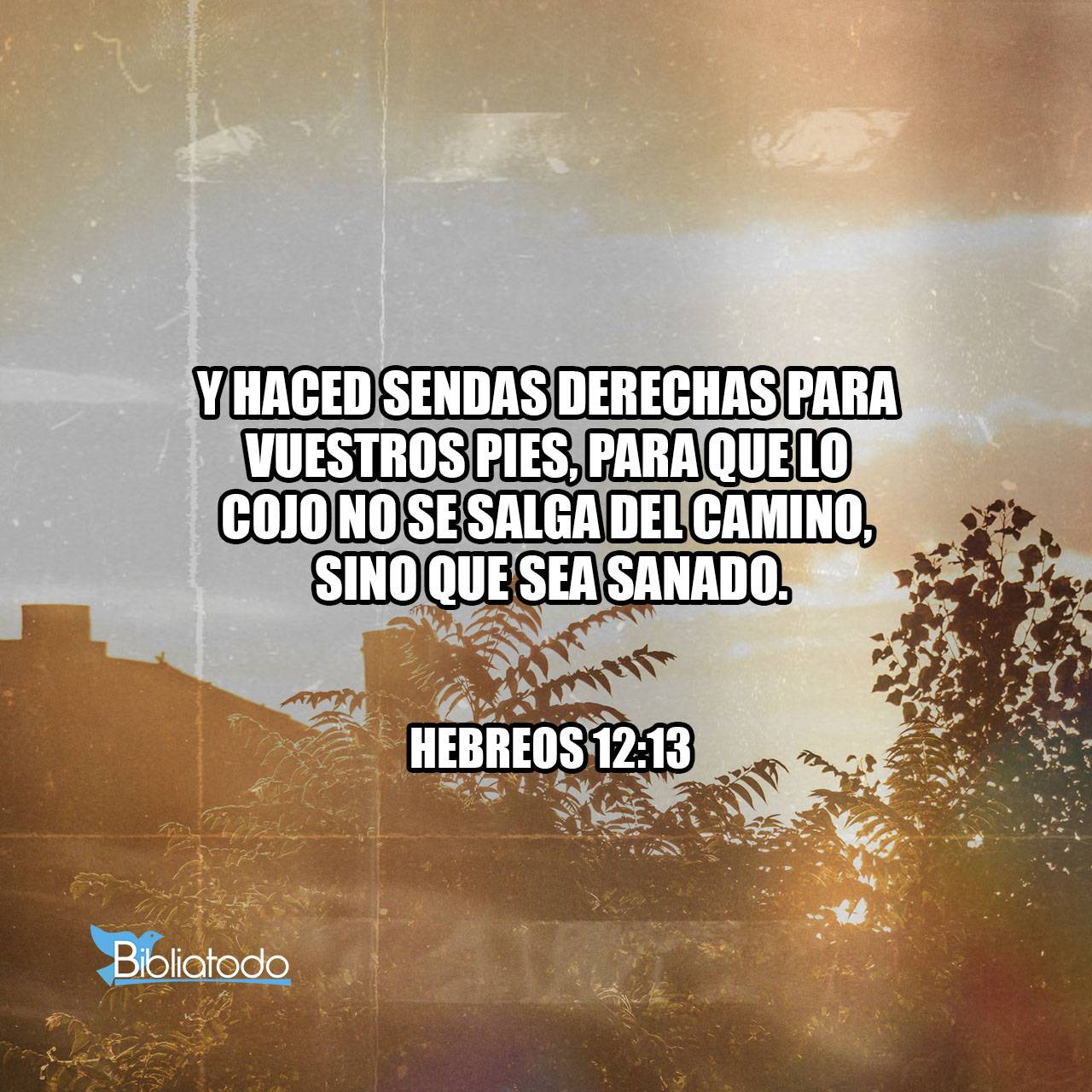 Hebreos 12:13 RV1960 - y haced sendas derechas para vuestros pies, para ...