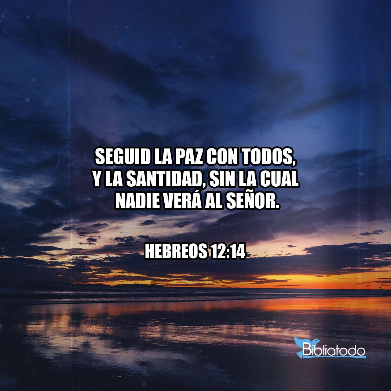 Hebreos 12:14 RV1960 - Seguid la paz con todos, y la santidad, sin la ...