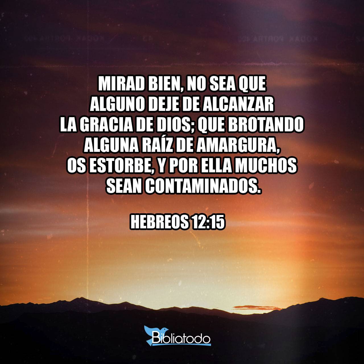 Hebreos 12:15 RV1960 - Mirad bien, no sea que alguno deje de alcanzar ...