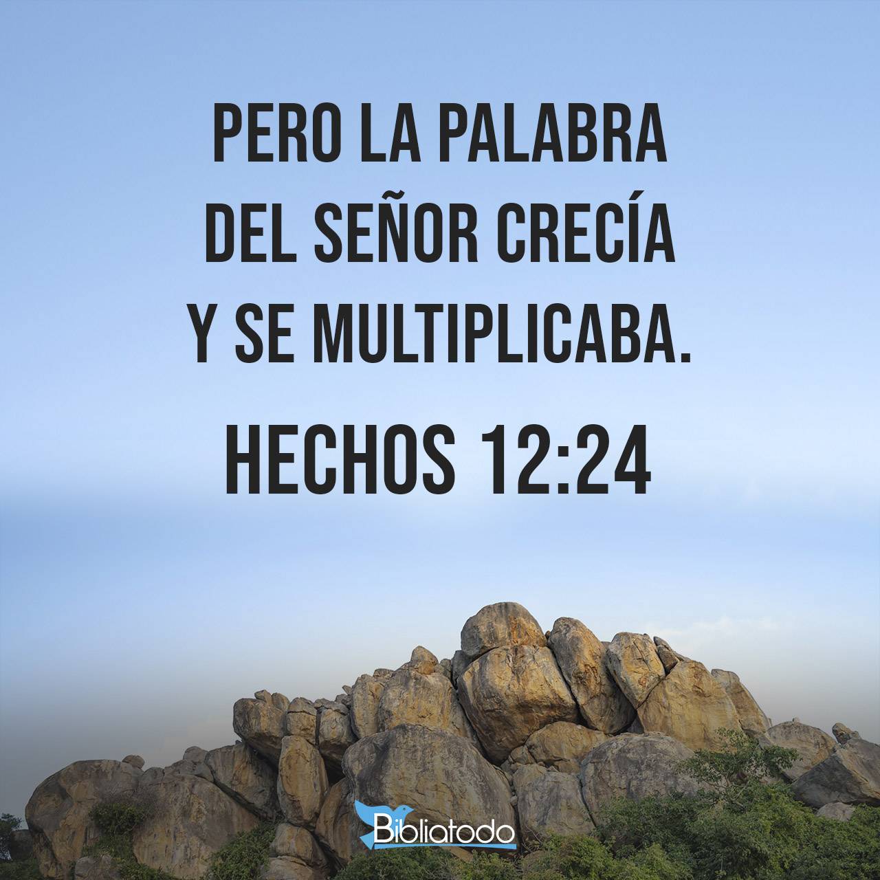 Hechos 12:24 TCB - La Palabra del Señor crecía y se multiplicaba.