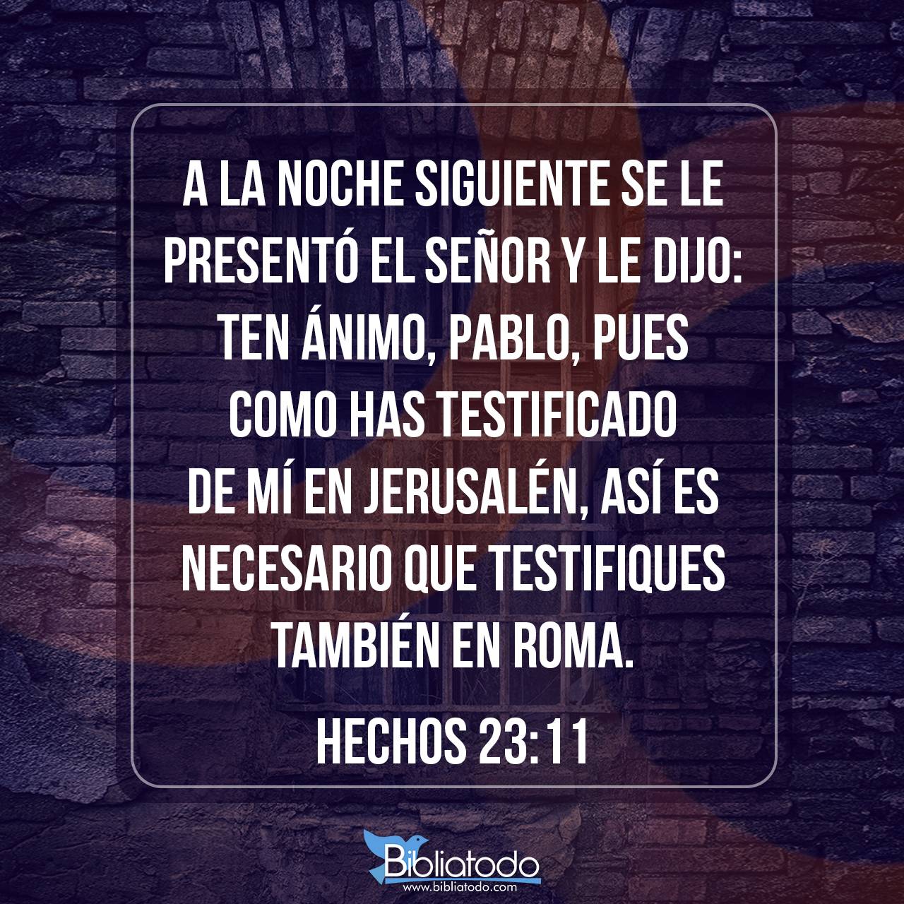 Hechos 23:11 TCB - A la noche siguiente el Señor se presentó a Pablo y ...