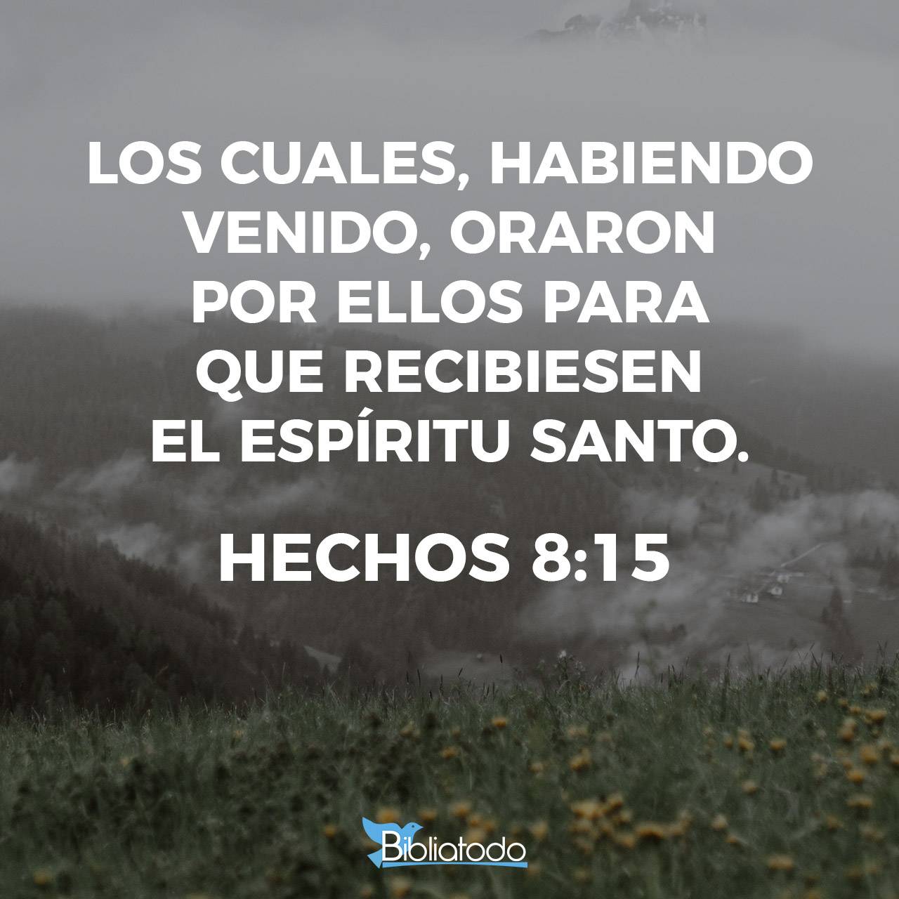Hechos 8:15 RV1960 - los cuales, habiendo venido, oraron por ellos para ...