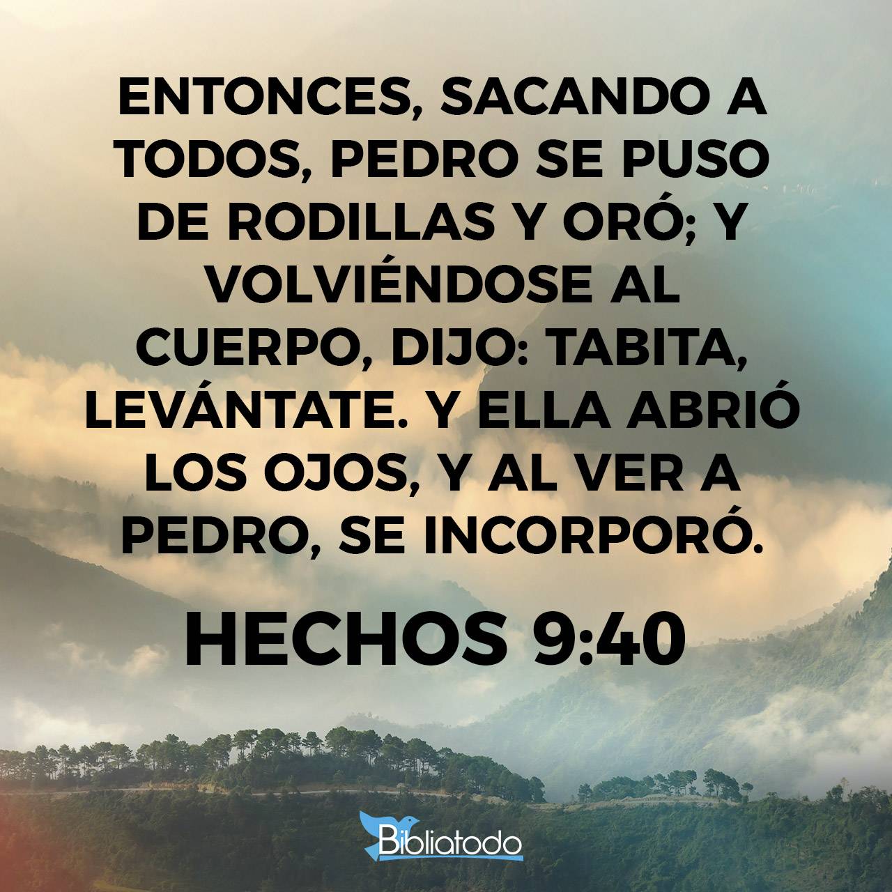 Hechos 9:40 RV1960 - Entonces, sacando a todos, Pedro se puso de ...