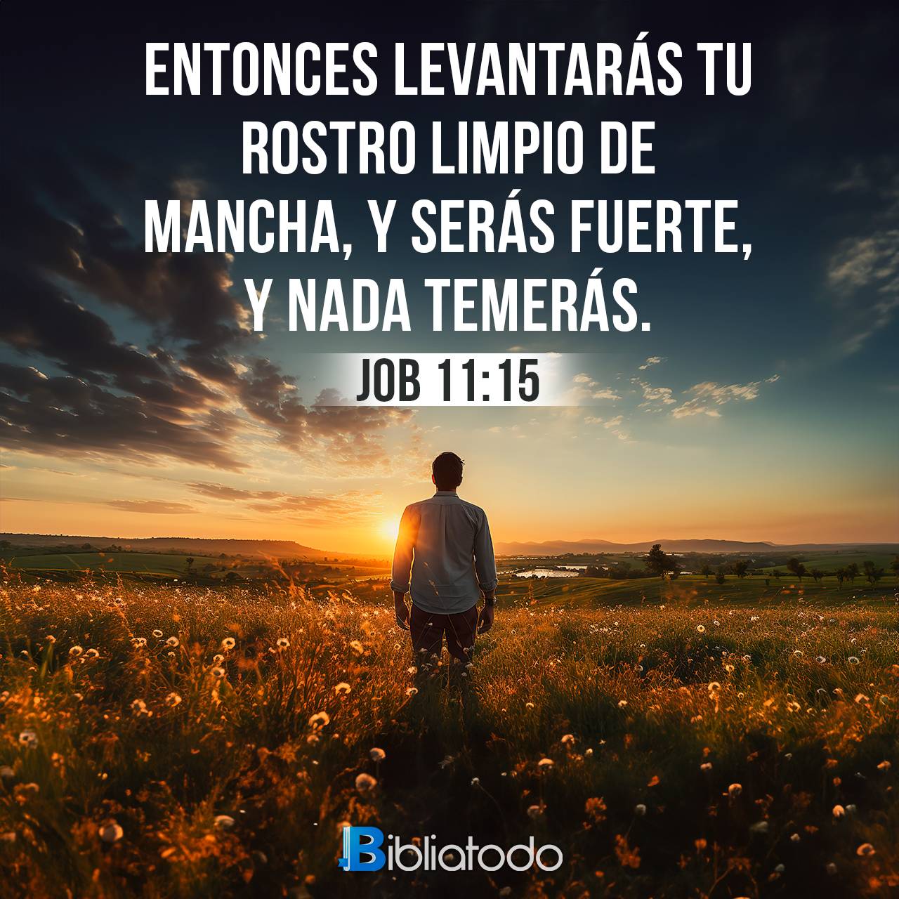 Job 11:15 RV1960 - Versículo del Día