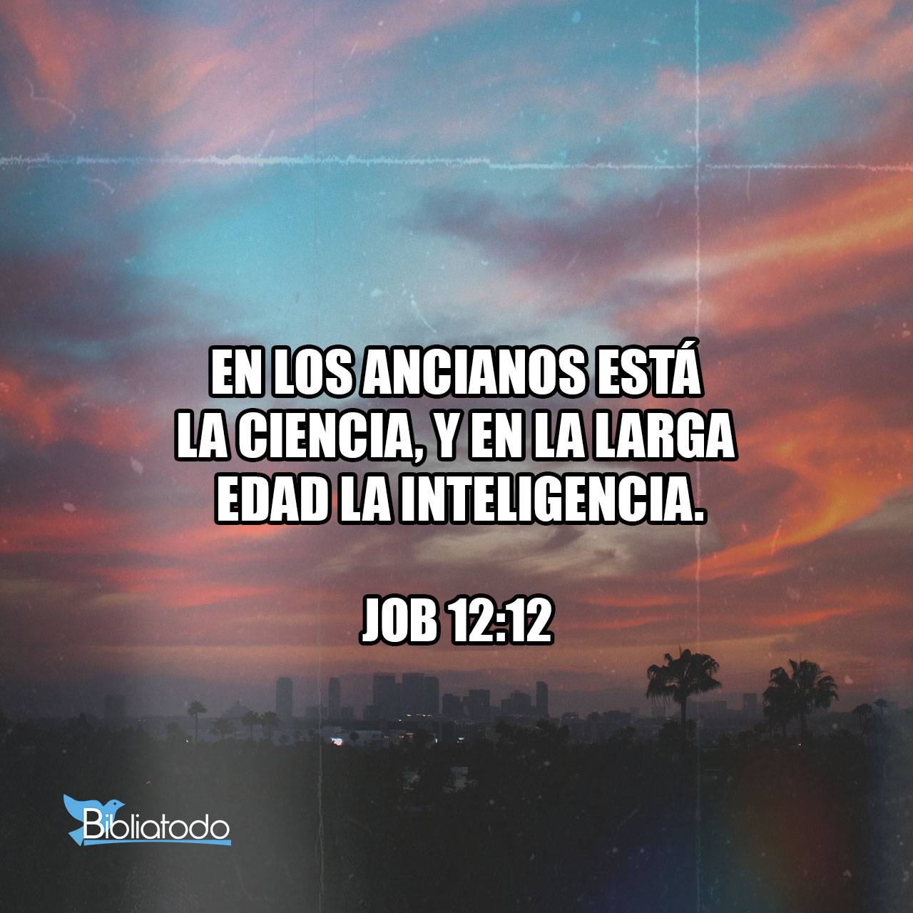 Job 12:12 TLA - los que han vivido muchos años captan la sabiduría y el ...