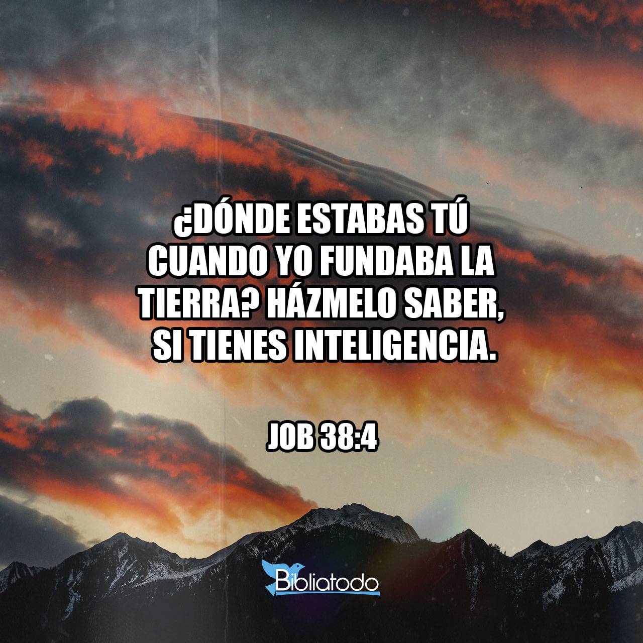 Job 38:4 TLA - »Si de veras sabes tanto, dime dónde estabas cuando puse ...