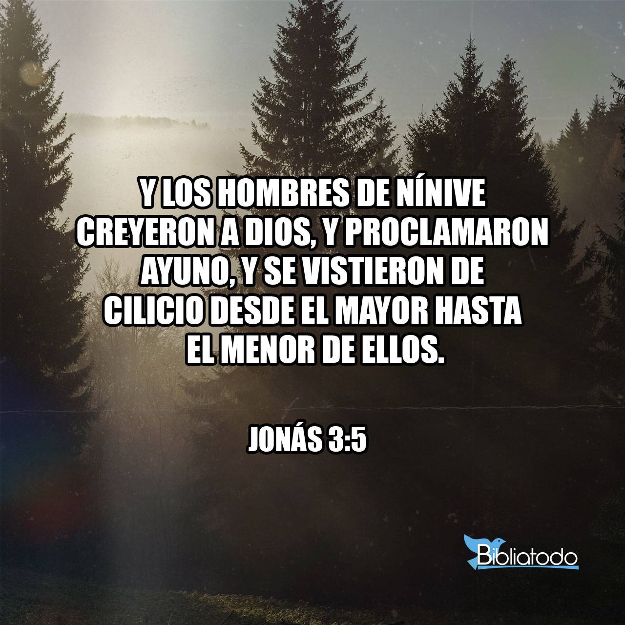 Jonás 3:5 RV1960 - Y los hombres de Nínive creyeron a Dios, y ...