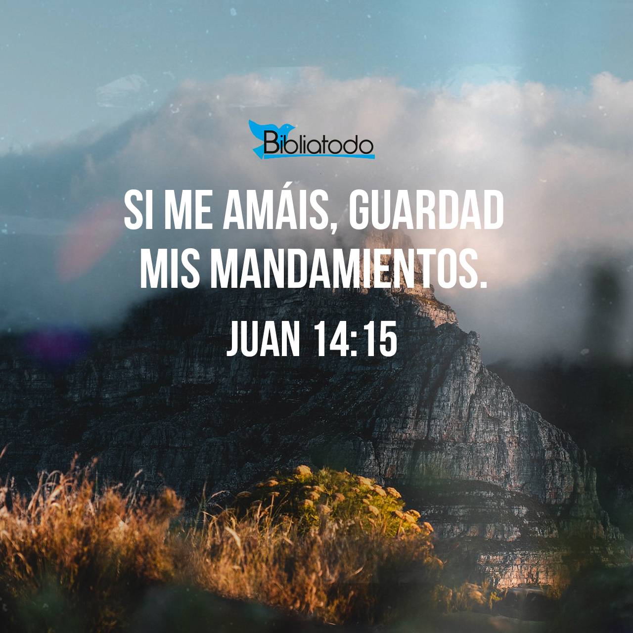 Juan 14:15 RV1960 - Si me amáis, guardad mis mandamientos.