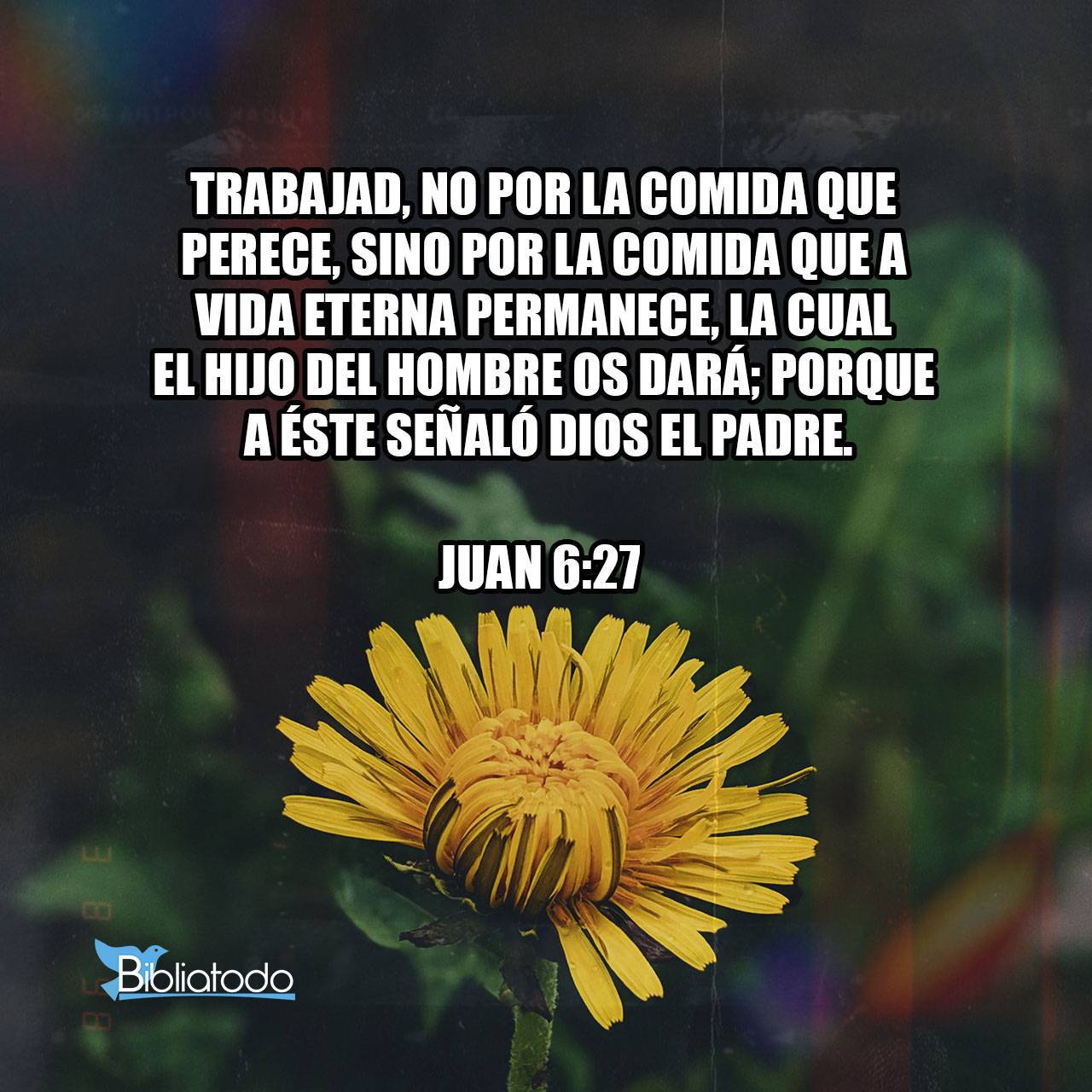 Juan 6:27 Referencias Cruzadas de la Biblia | Conexiones Versículo a ...